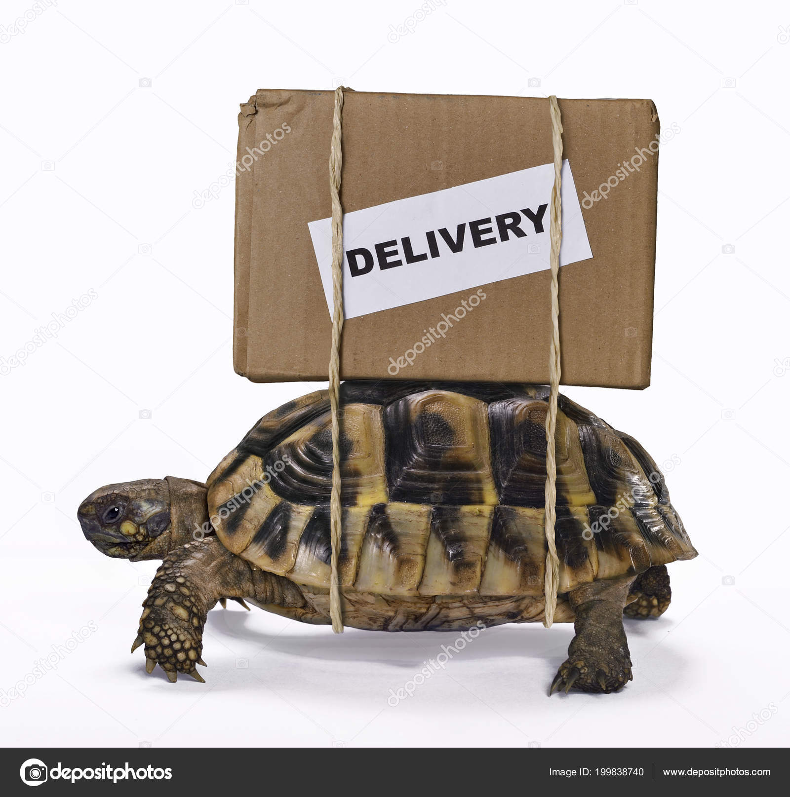 EUROPE MacBook Pros 14” and 16” inch Pre-orders, Orders and Delivery ...