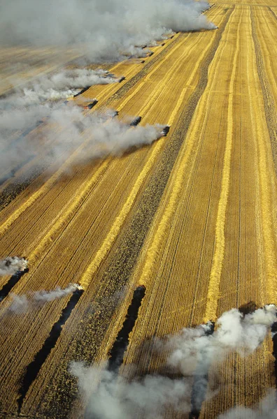 Crop pollution Stock Photos, Royalty Free Crop pollution Images ...