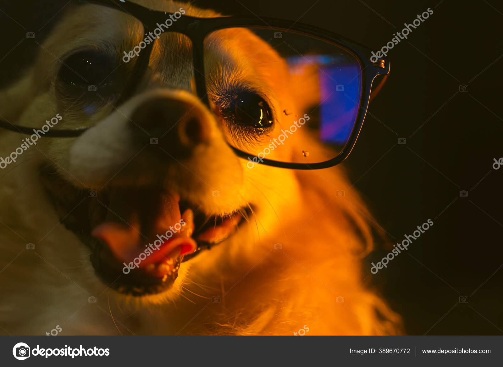 Cheesy Smile With Animal