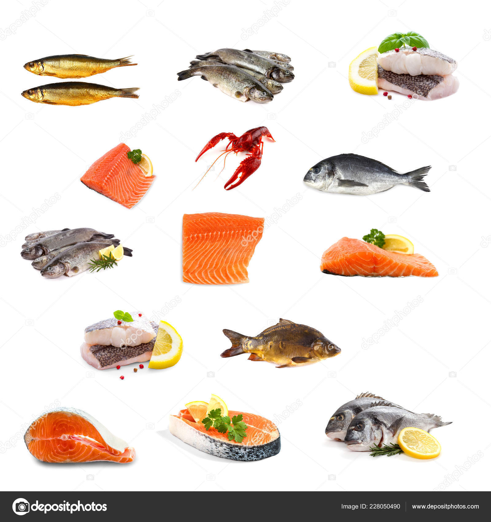 Collage Peces Aislado Blanco — Foto de stock #228050490 © diamant24