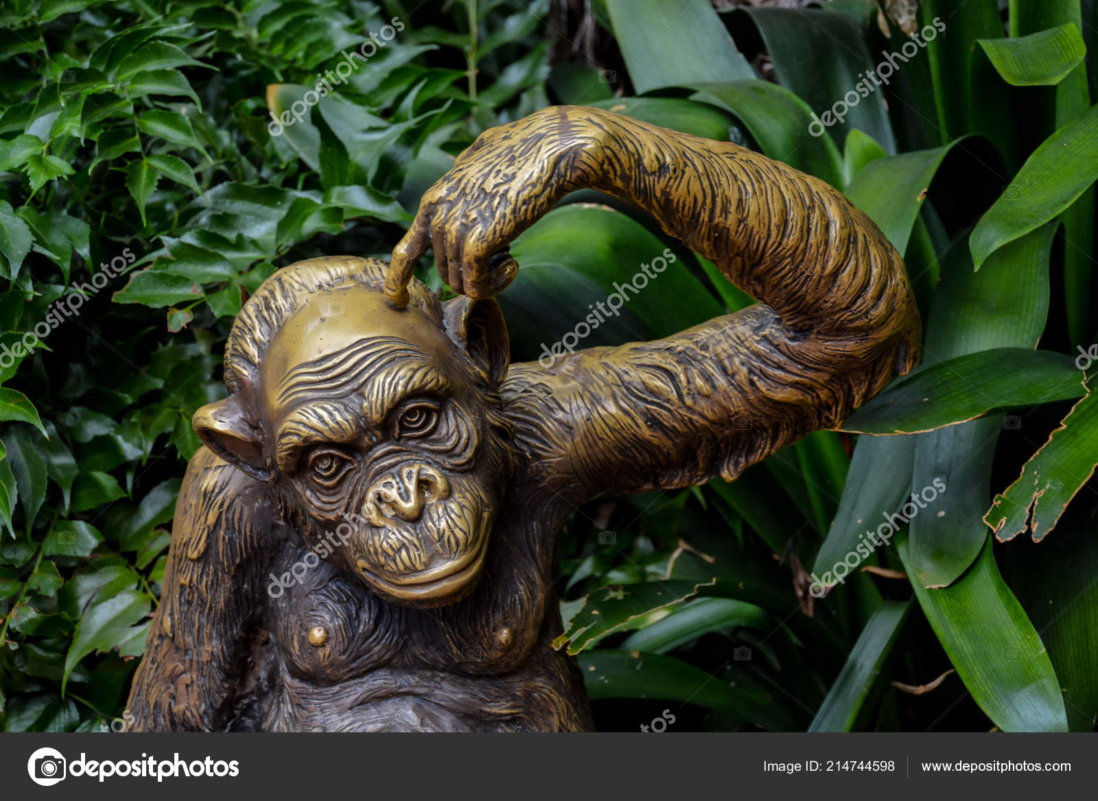 Statue Wild Chimpanzee Mammal Ape Monkey Animal Stock Photo by ...