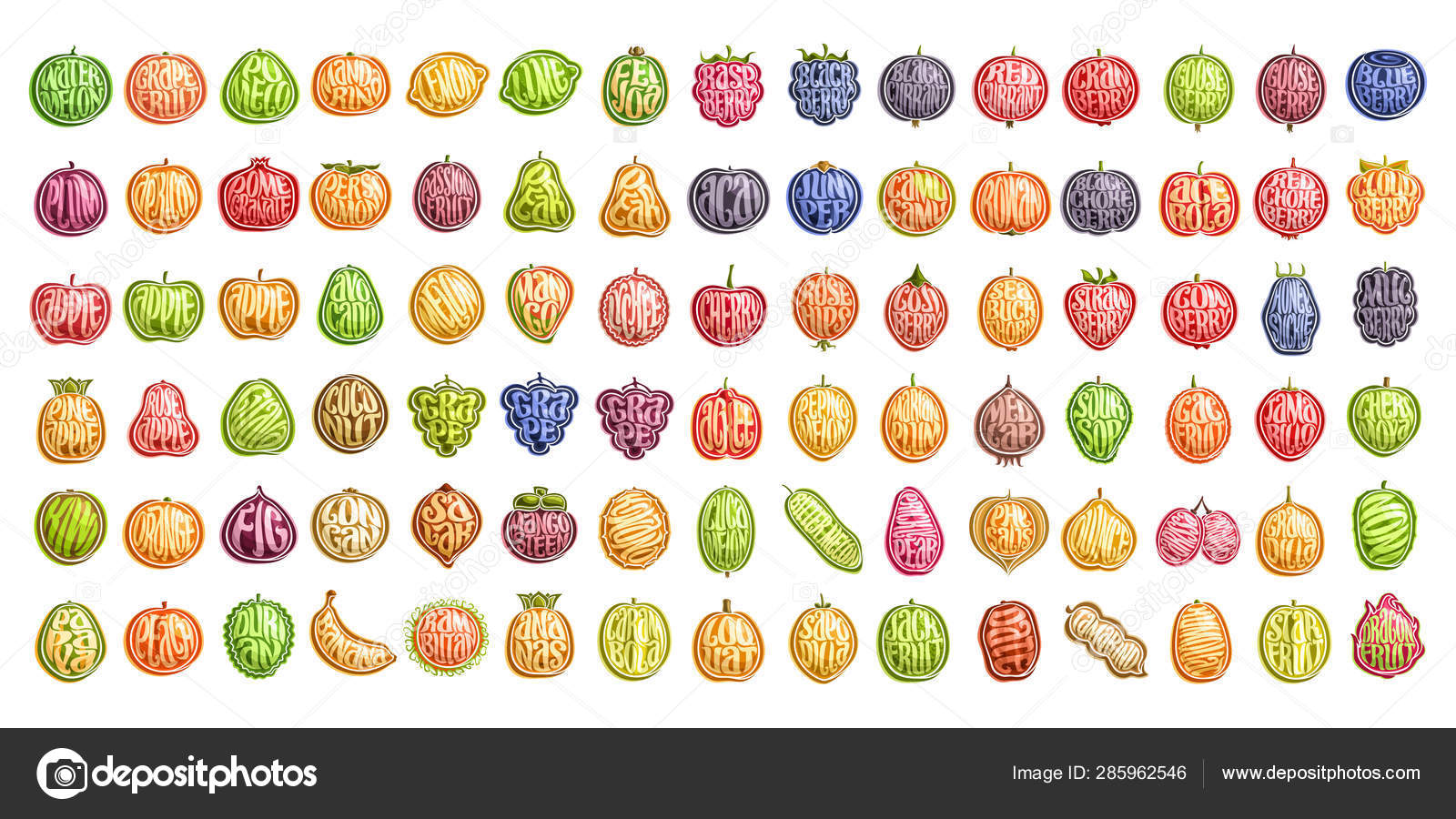 Vector Set Fresh Fruits Cut Out Illustration Organic Fruits Berries ...