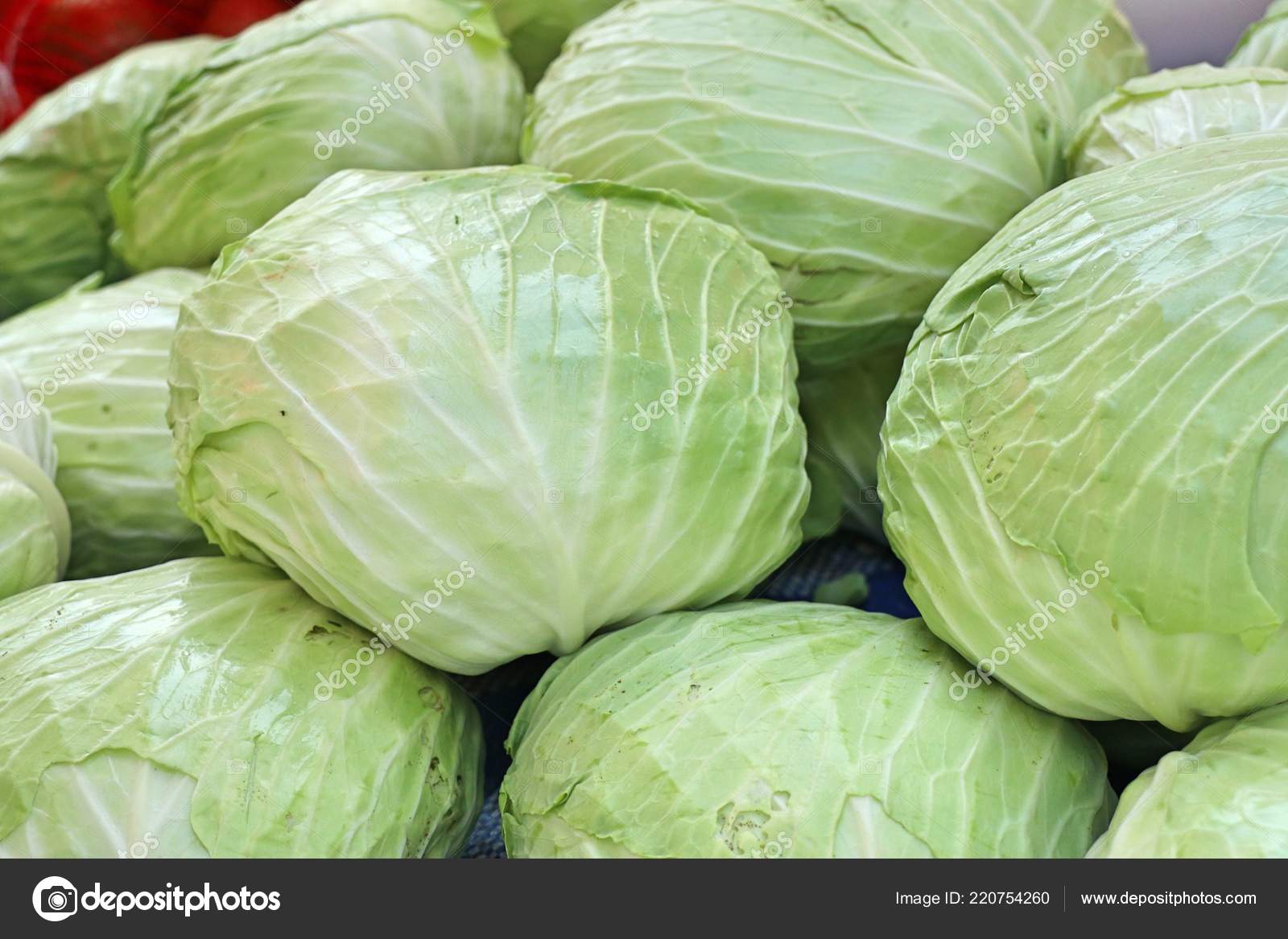 Cabbage Market Stock Photo by ©oilslo 220754260