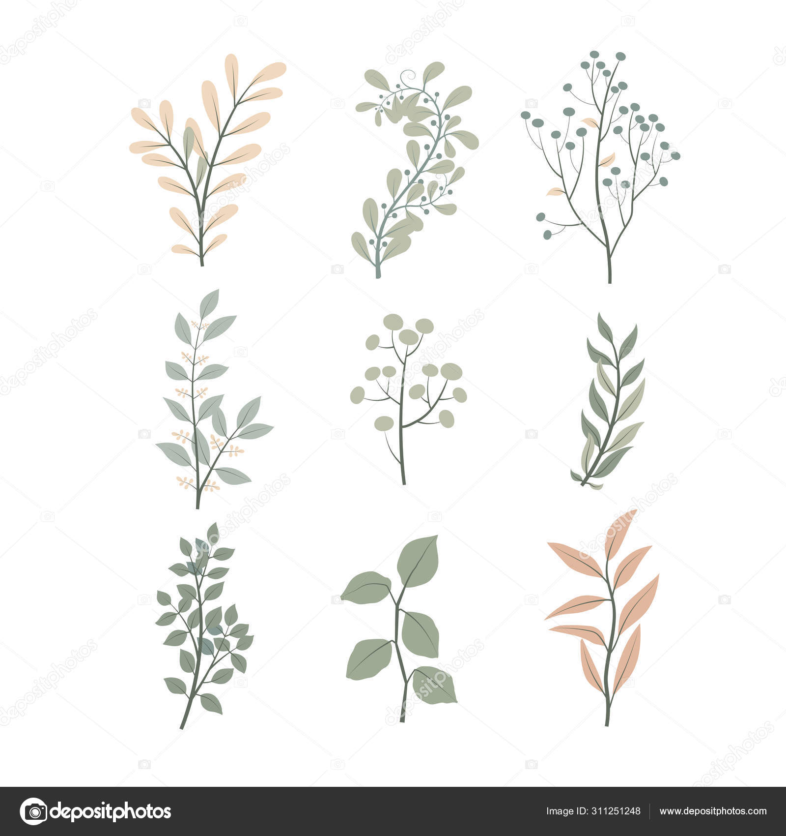 Set of plant vector design Stock Vector Image by ©terdpongdesign.gmail ...