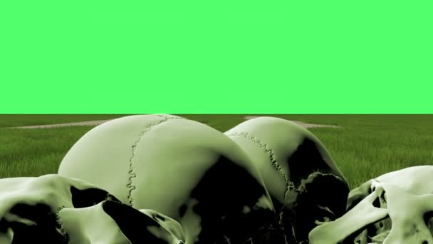 760 Green screen ghost Videos, Royalty-free Stock Green screen ghost ...