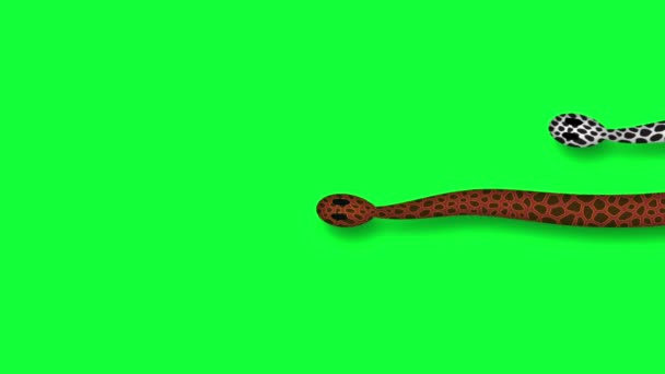 476 Green screen snake Stock Videos, 4K & HD Footage | Depositphotos