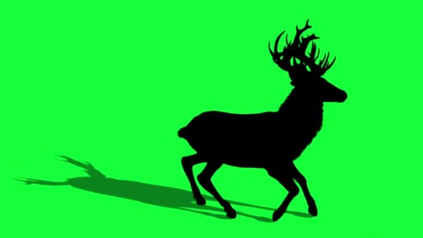 199 Green screen deer Videos, Royalty-free Stock Green screen deer ...