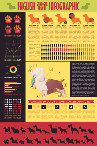 Dog infographic. Vector collection. Stock Vector Image by ©R_lion_O ...