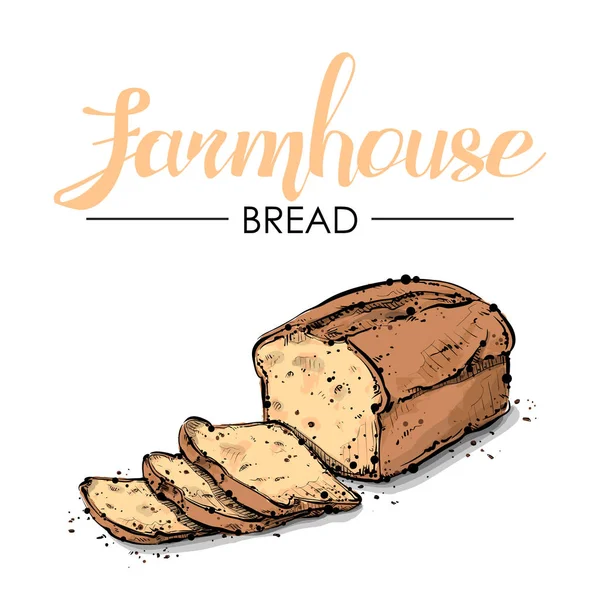 Sandwich bread drawing. Sketch style. Vector. — Stock Vector © R_lion_O ...