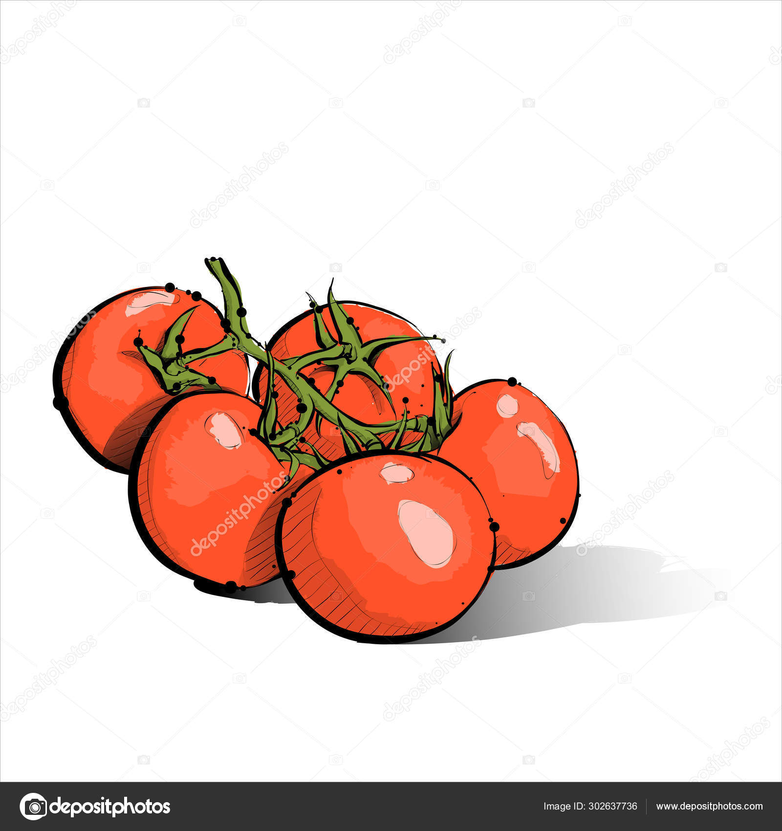 Cherry Tomato Drawing