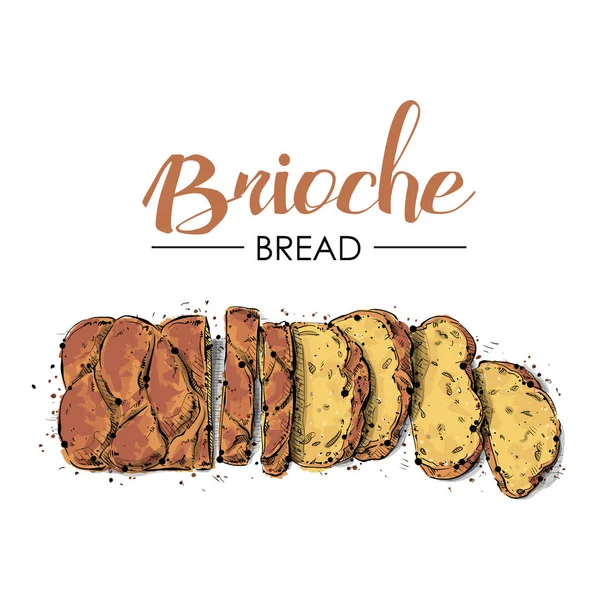 Sandwich bread drawing. Sketch style. Vector. — Stock Vector © R_lion_O ...