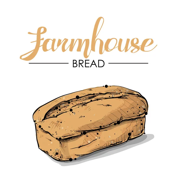 Sandwich bread drawing. Sketch style. Vector. — Stock Vector © R_lion_O ...