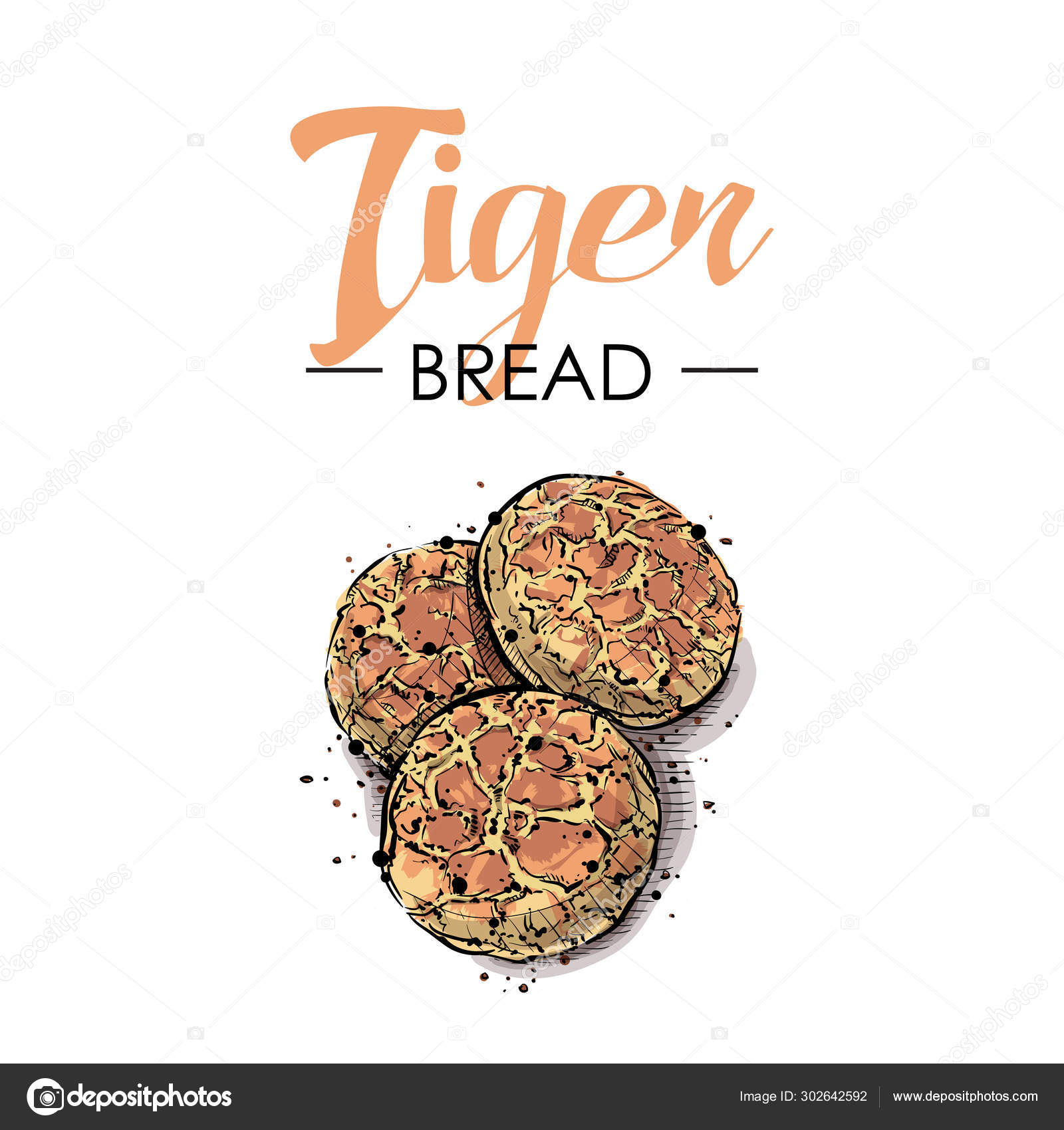 Tiger bread drawing. Sketch style. Vector. — Stock Vector © R_lion_O ...