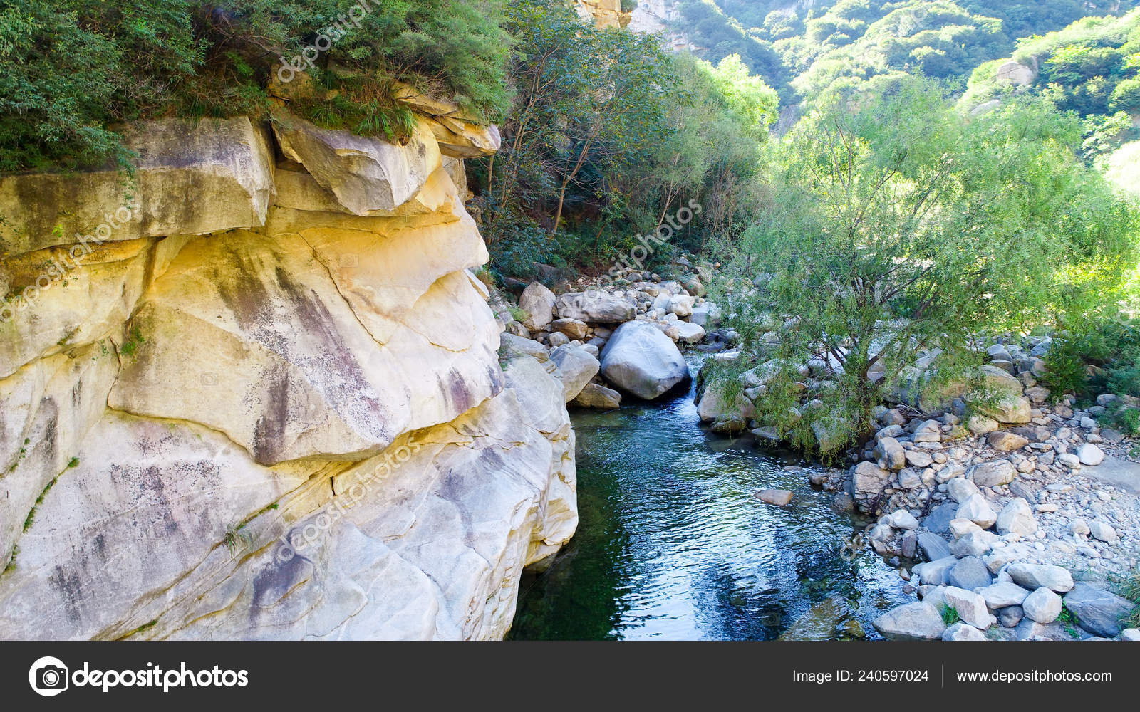 Clear River Rocks Mountain Mountain River Flowing Green Forest ...
