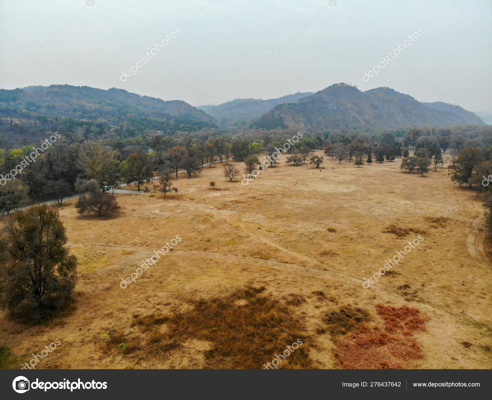 Aerial View Yellow Dry Grass Land Dark Trees Big Hot Stock Photo by ...