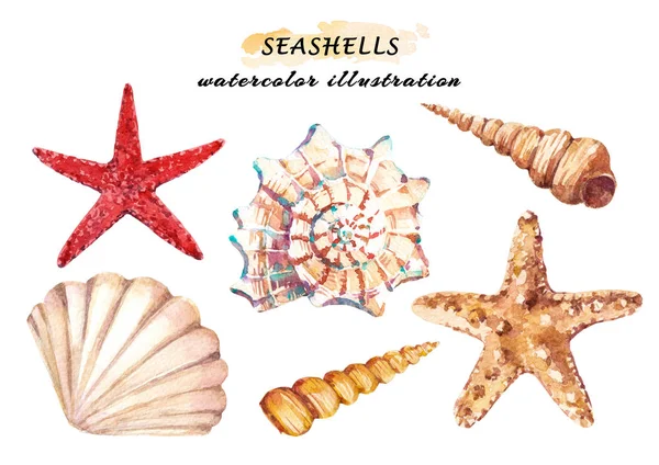 Hand Drawn Watercolor Frame Underwater Life Objects Seashells Starfish ...