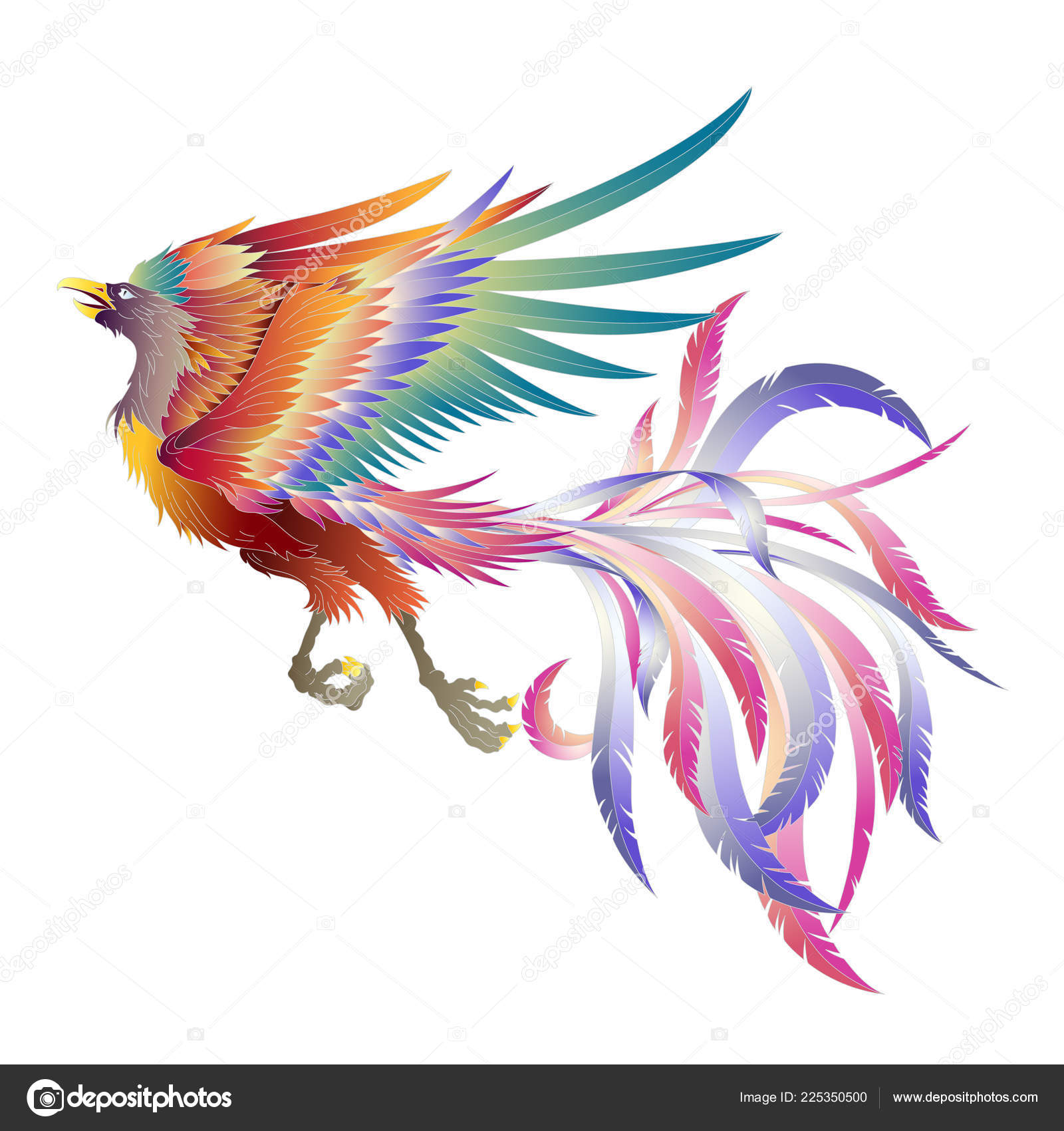 Chinese Phoenix Vector