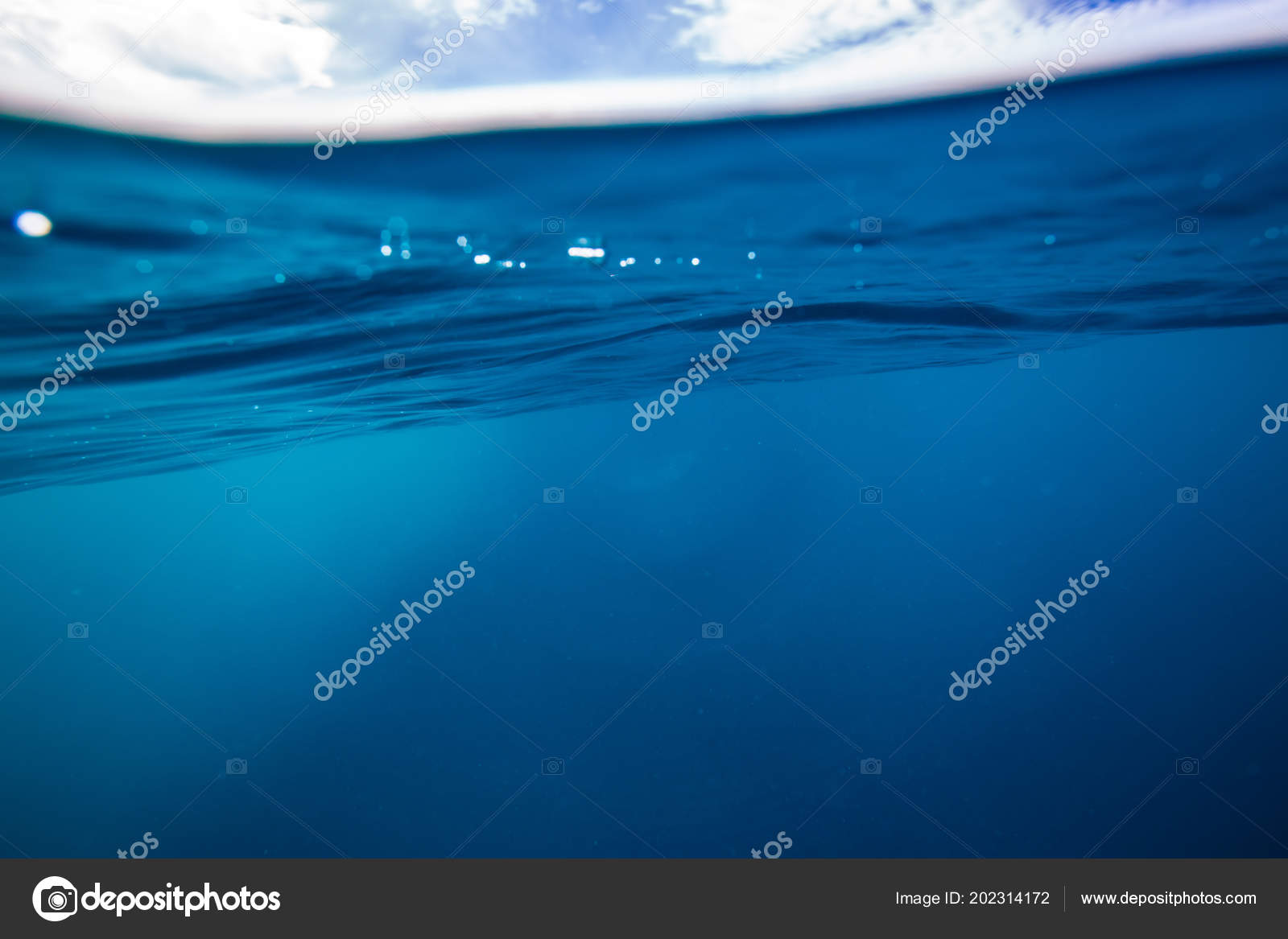Waterline Ocean