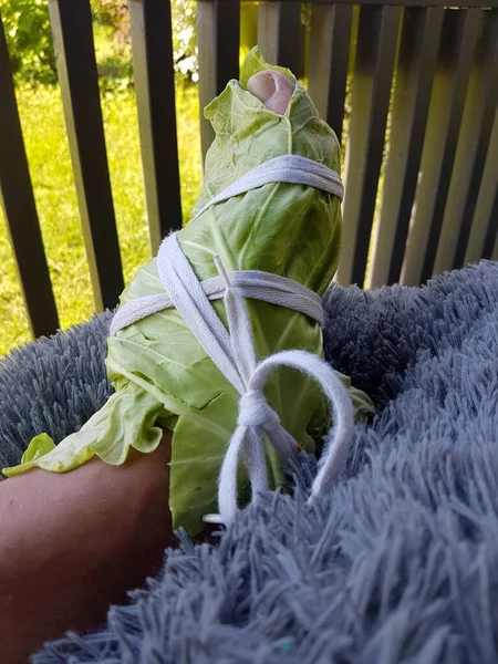 Patas envueltas con hojas de repollo blanco.Las hojas de repollo pueden ...