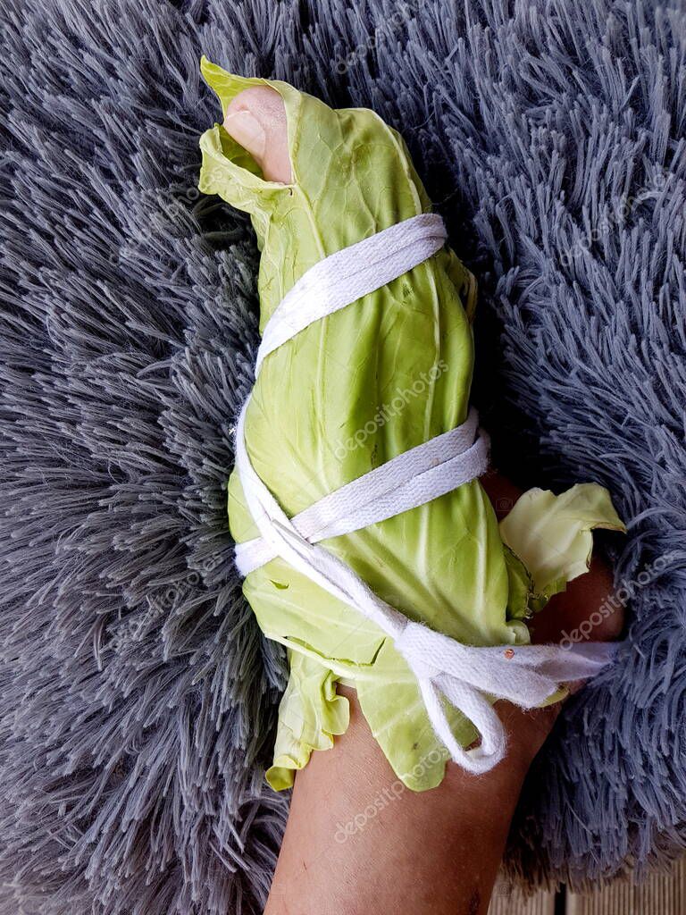 Patas envueltas con hojas de repollo blanco.Las hojas de repollo pueden ...