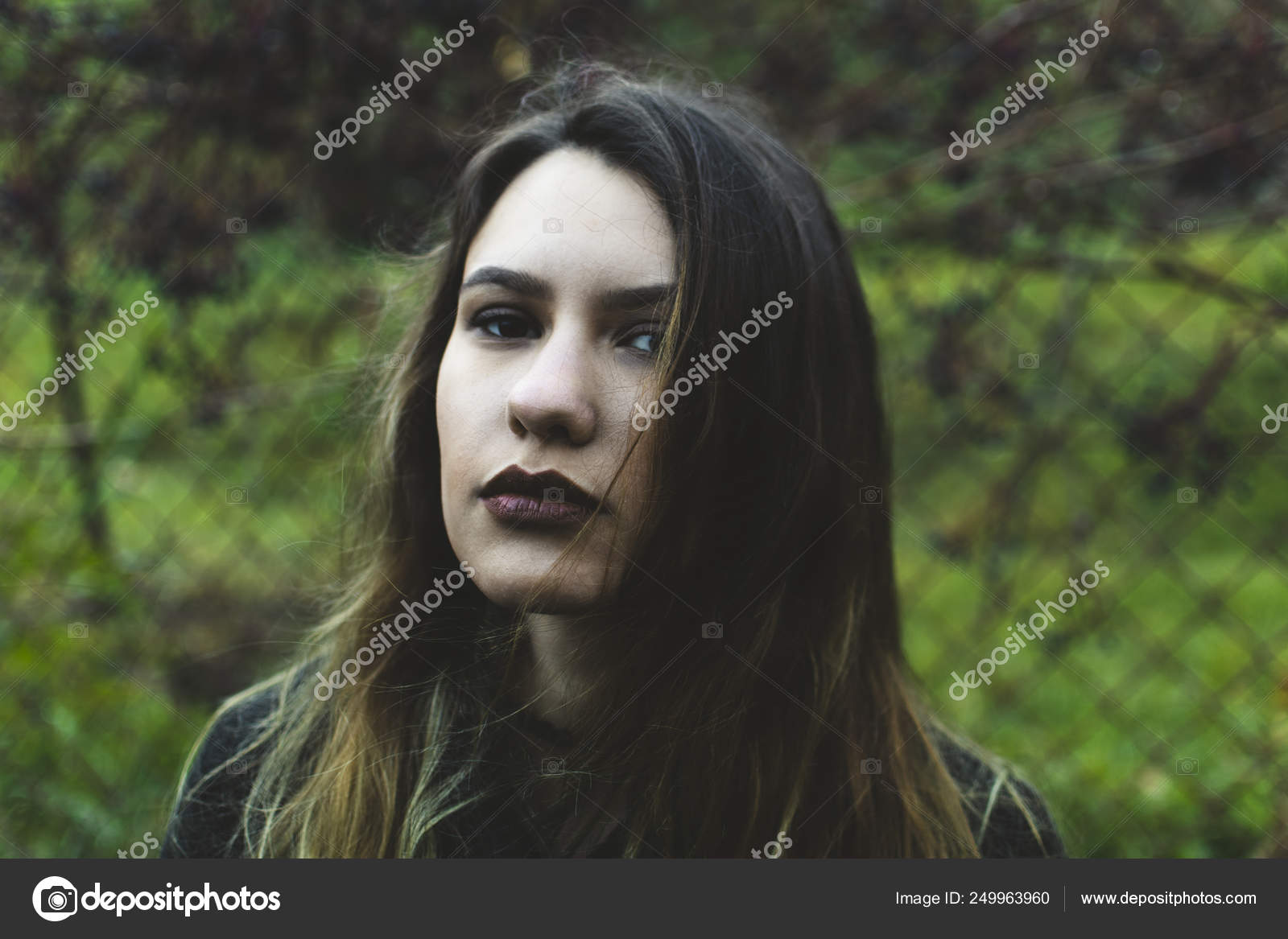 Movie Portrait Handsome Pale Skinned Brunette Blonde Brown Strands ...