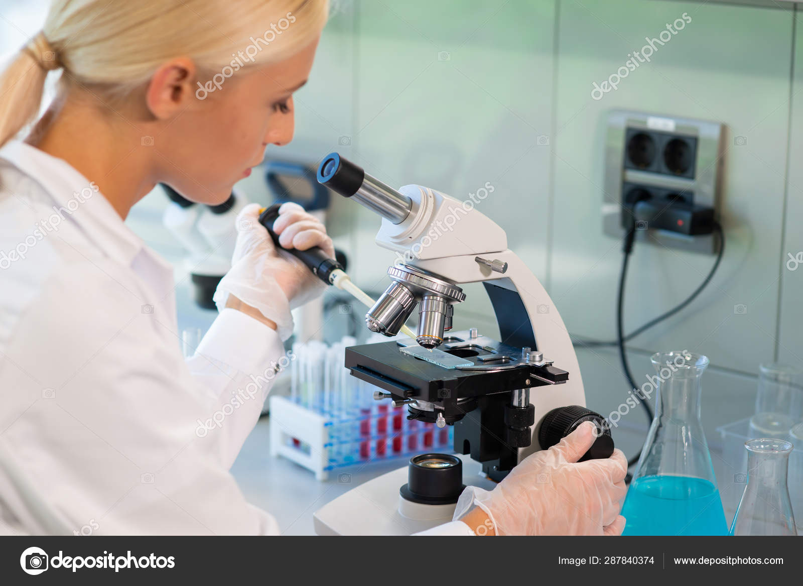 Modern Microbiology Lab