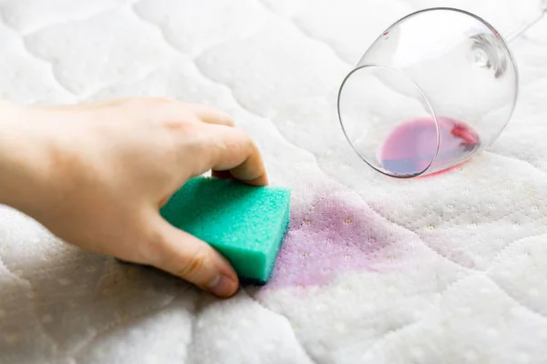 Sponge cleaning wine stain. Dropped wineglass. Spilled wine on w ...
