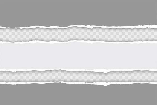 Papel roto con bordes rasgados ilustración vectorial realista Vector de ...
