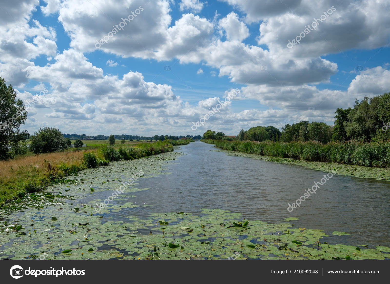 Cloudy Blue Sky Typical Dutch Polder Canal Water Plants Close — Free ...