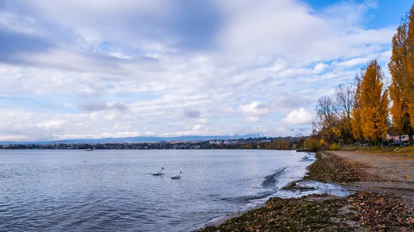 Beautiful View Lake Geneva Morges Switzerland — Stock Photo © fotocorn #243014240