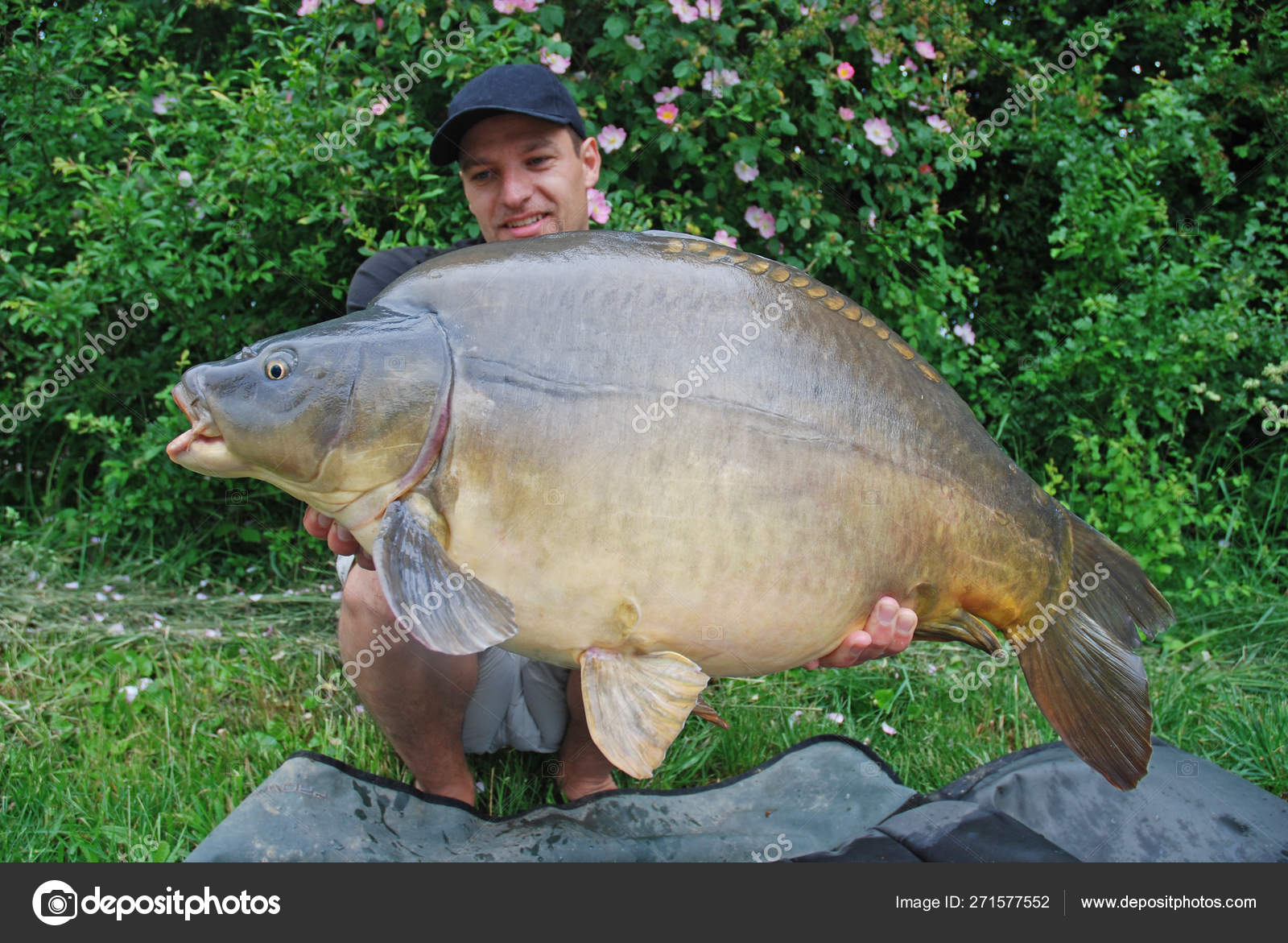 Man Holding Giant Mirror Carp Freshwater Fishing — Stock Photo © sablin ...