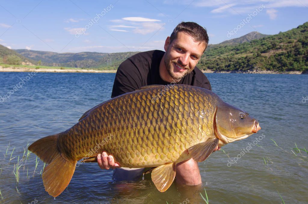 Pesca de carpas. Captura de pescado. Pescador afortunado sosteniendo ...