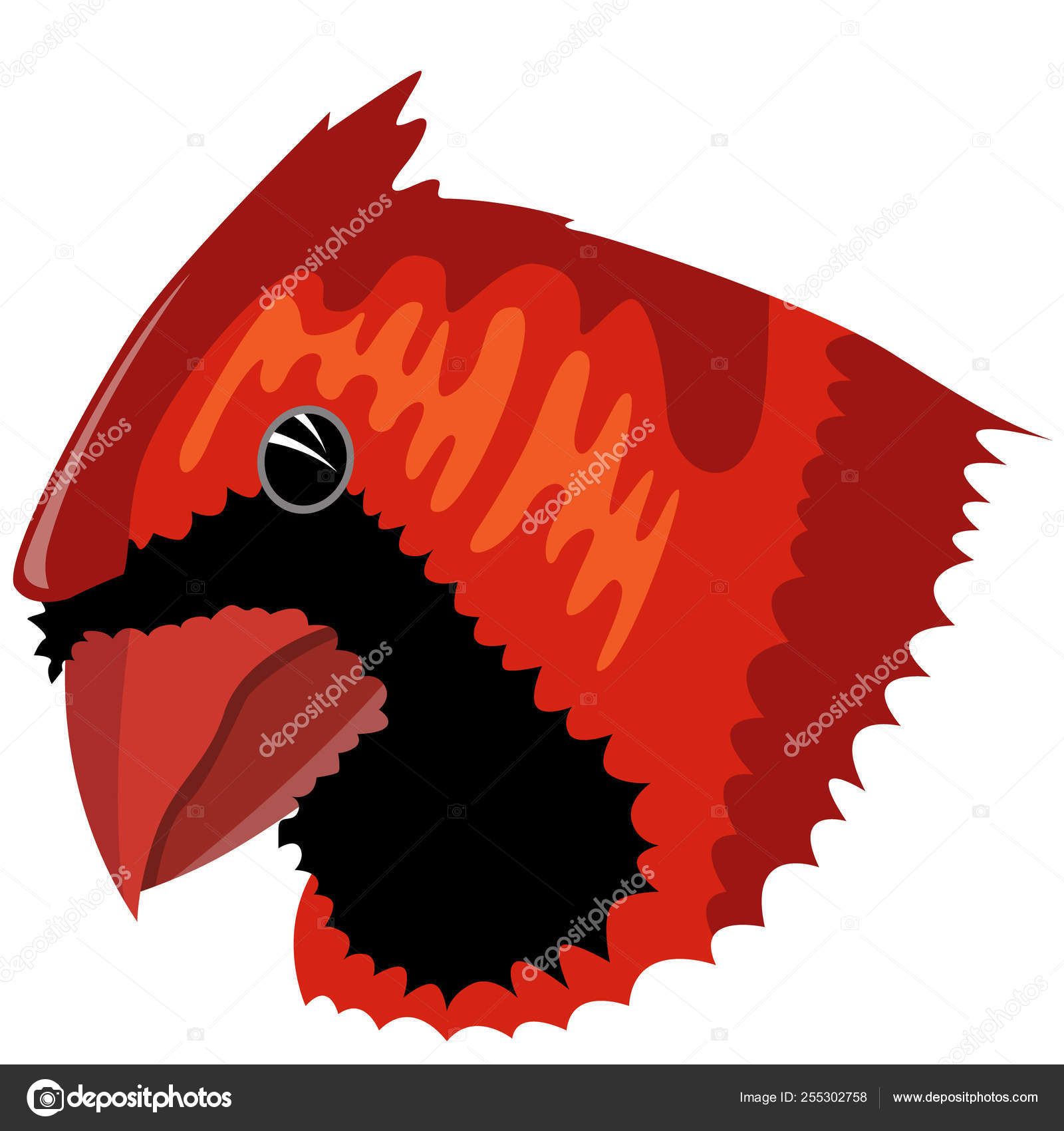 Realistic image of the head of a Red cardinal bird. Vector. Stock ...