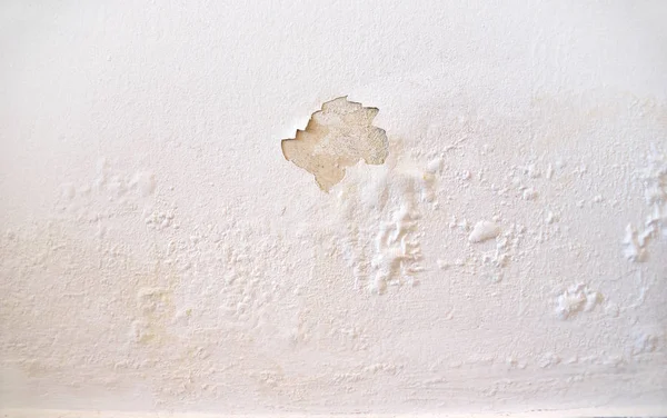 Rain water leaks on the wall causing damage and peeling paint - Stock ...