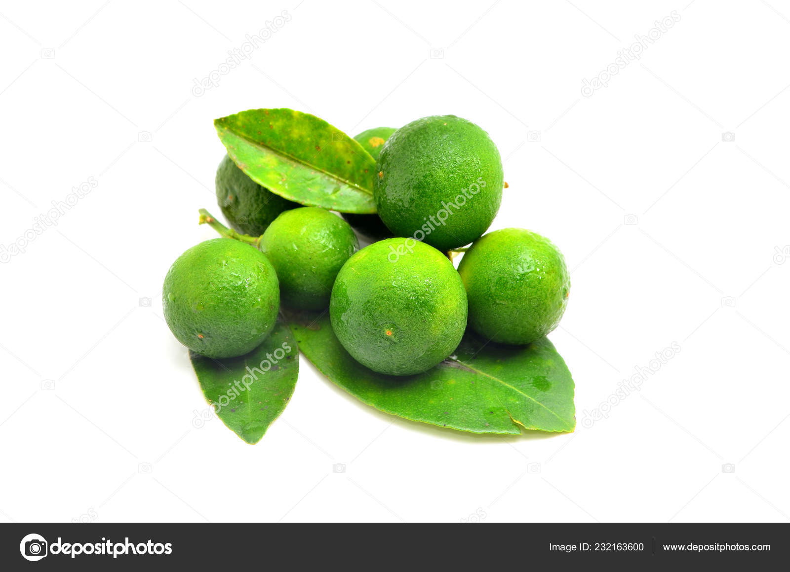 Calamansi White Background Stock Photo by ©shahril 232163600