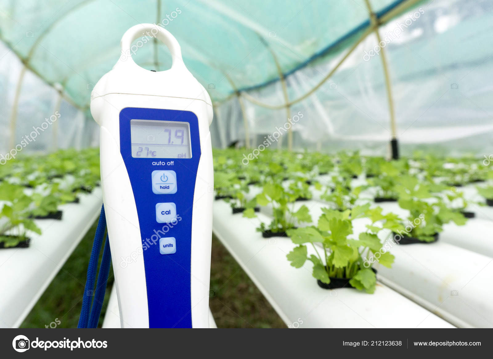 Digital Meter Tester Temperature Gauge Hydroponics Celery Green ...