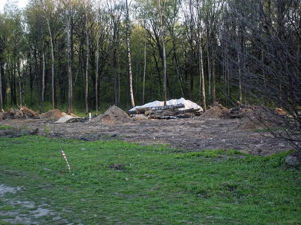 Forest reconstruction Stock Photos, Royalty Free Forest reconstruction ...