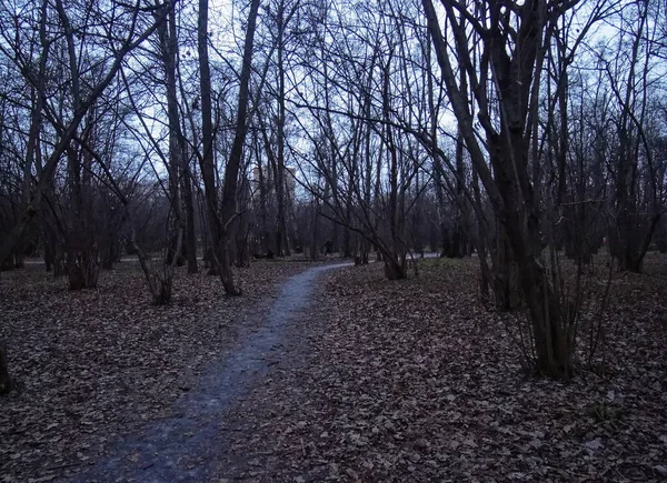 Creepy path Stock Photos, Royalty Free Creepy path Images | Depositphotos