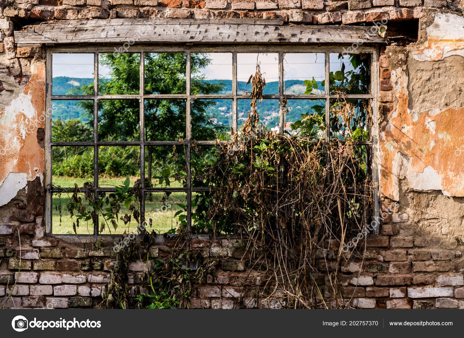 Abstract Ruin Windows Surrounded Grass Old Wall Bricks Damaged ...
