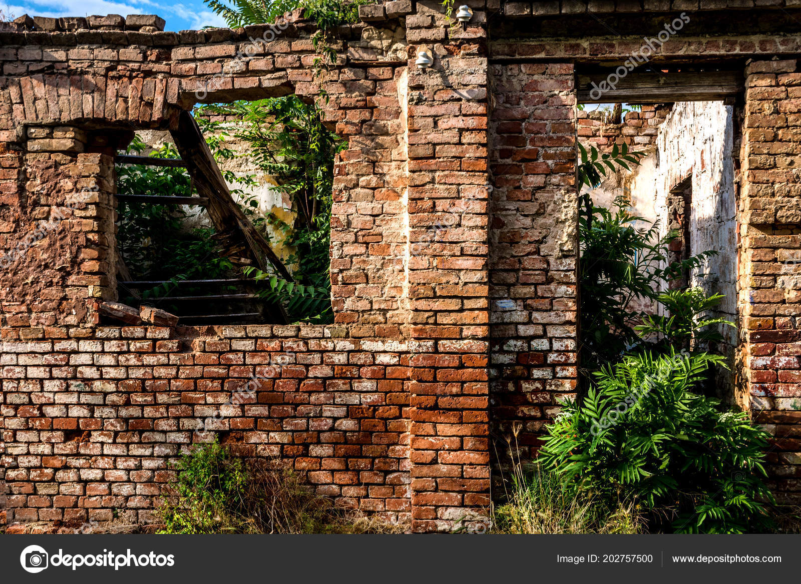 Ruins Old Abandoned Red Brick House Windows Door Green Grass Stock ...