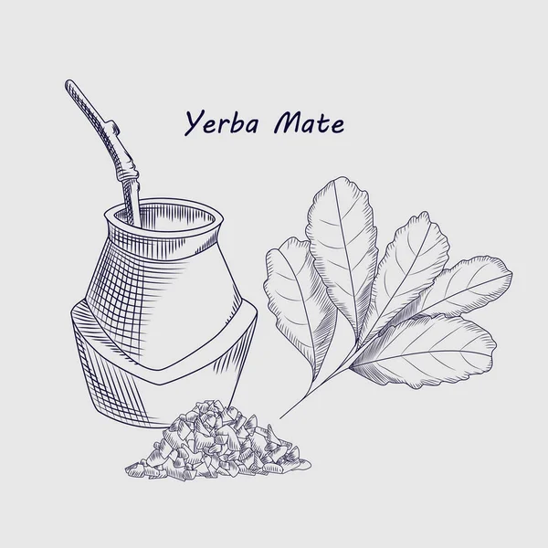 Yerba mate Vector Art Stock Images | Depositphotos