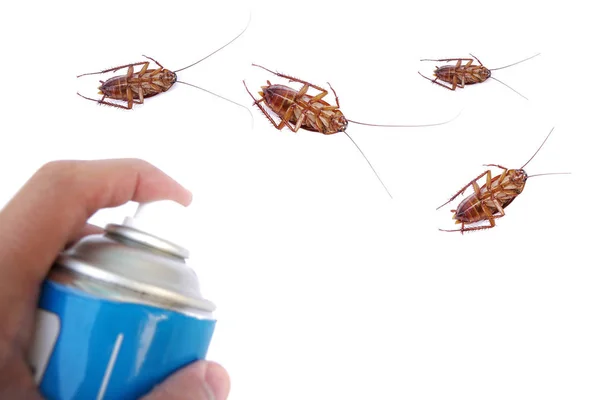 Cockroach spray with spray cans over white background Stock Photo by ...