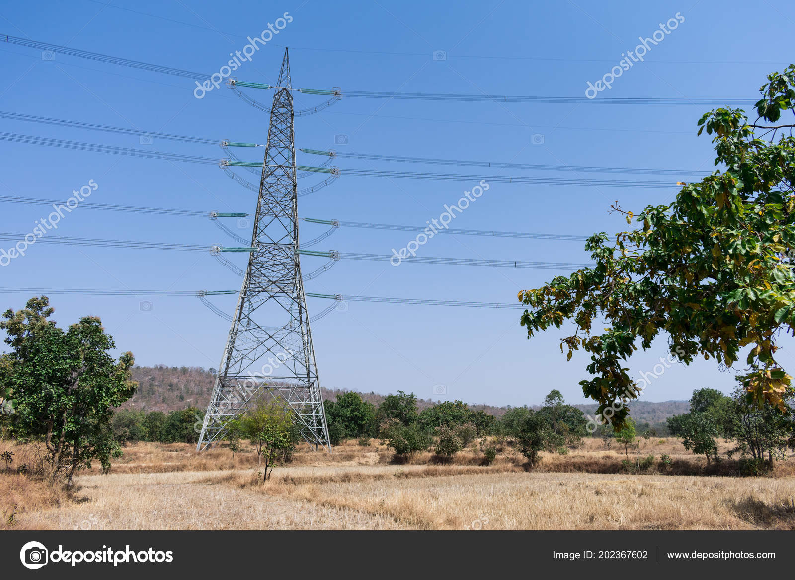Power Grid Cable Paddy Farm Rural Forest Close View Snap — Stock Photo ...