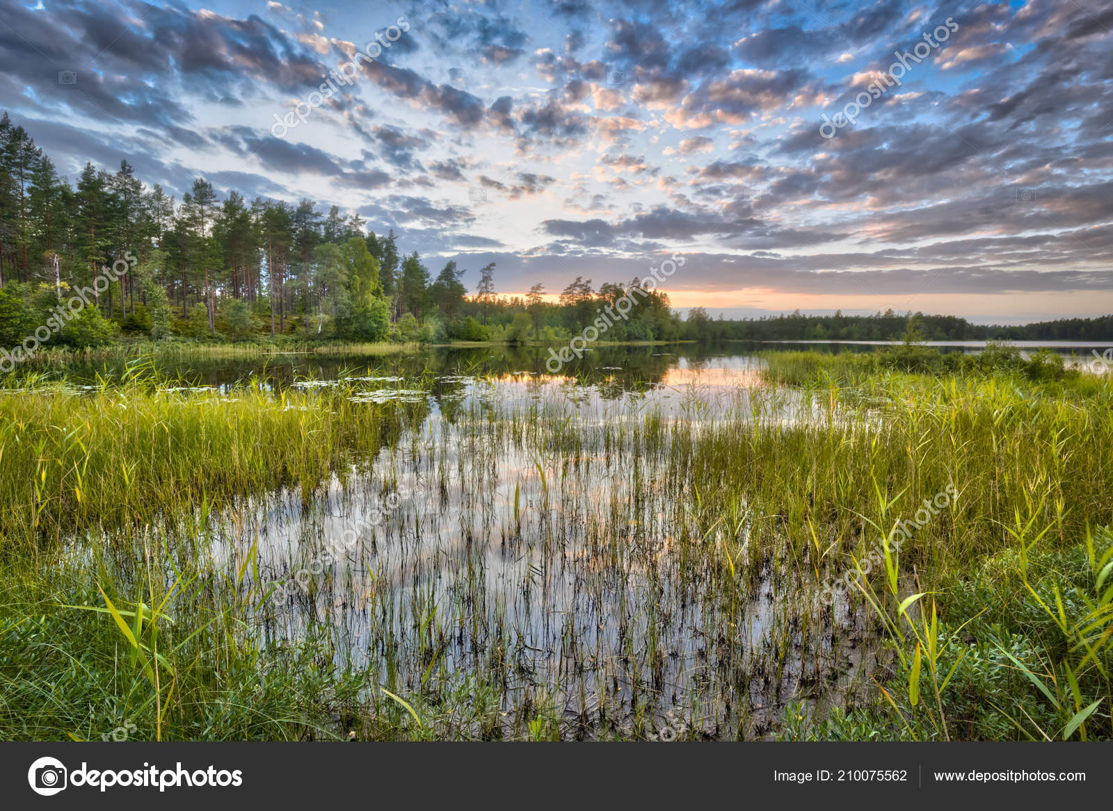 Sunset Lake Nordvattnet Hokensas Nature Reserve Vastergotland Sweden ...