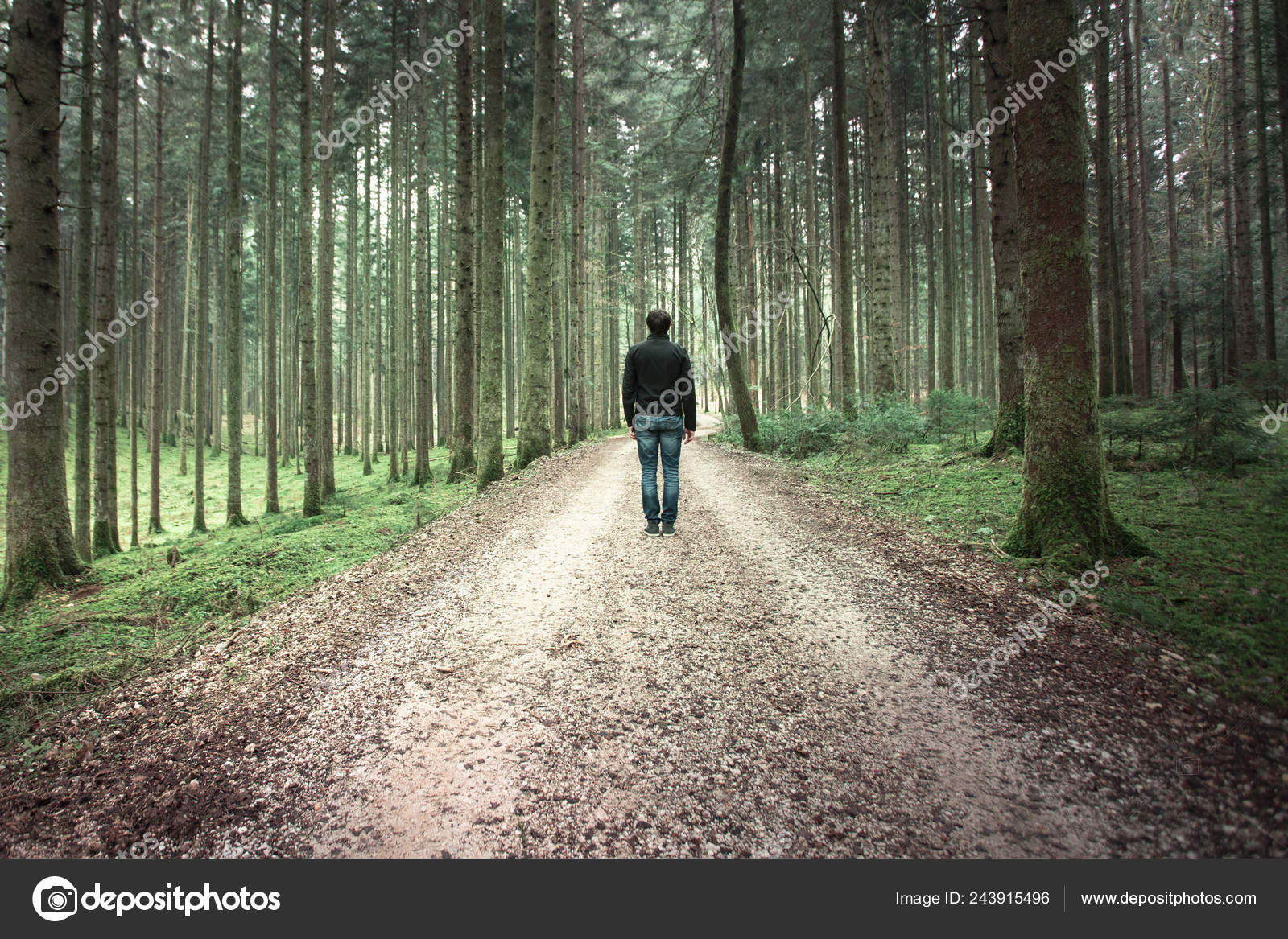 Man Standing Alone Forest Road Mossy Fairytale Woods Landscape — Stock ...