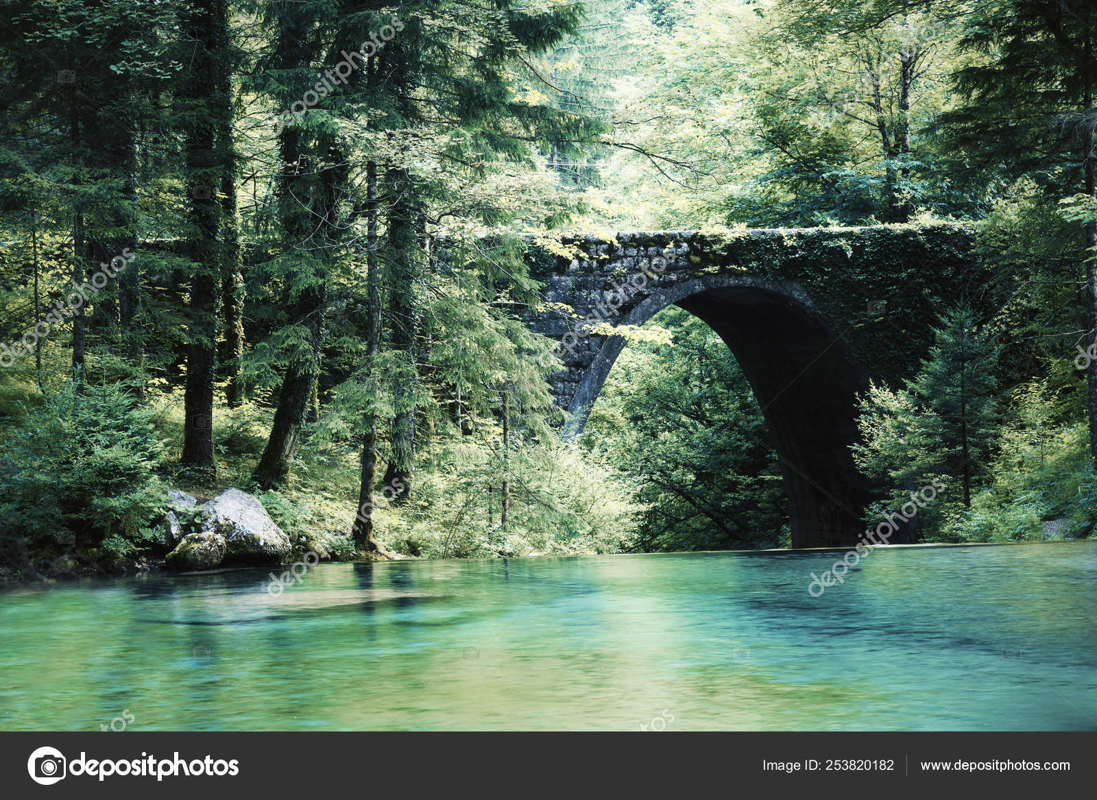 Stonebridge In Forest