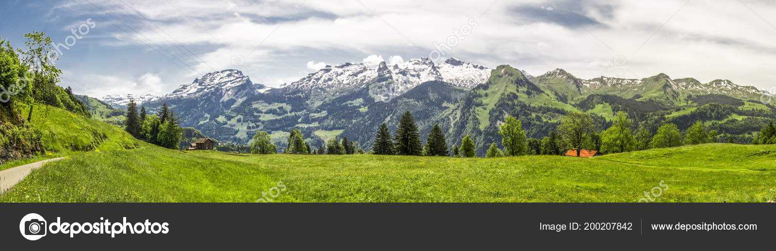 Panoramic Swiss Alps