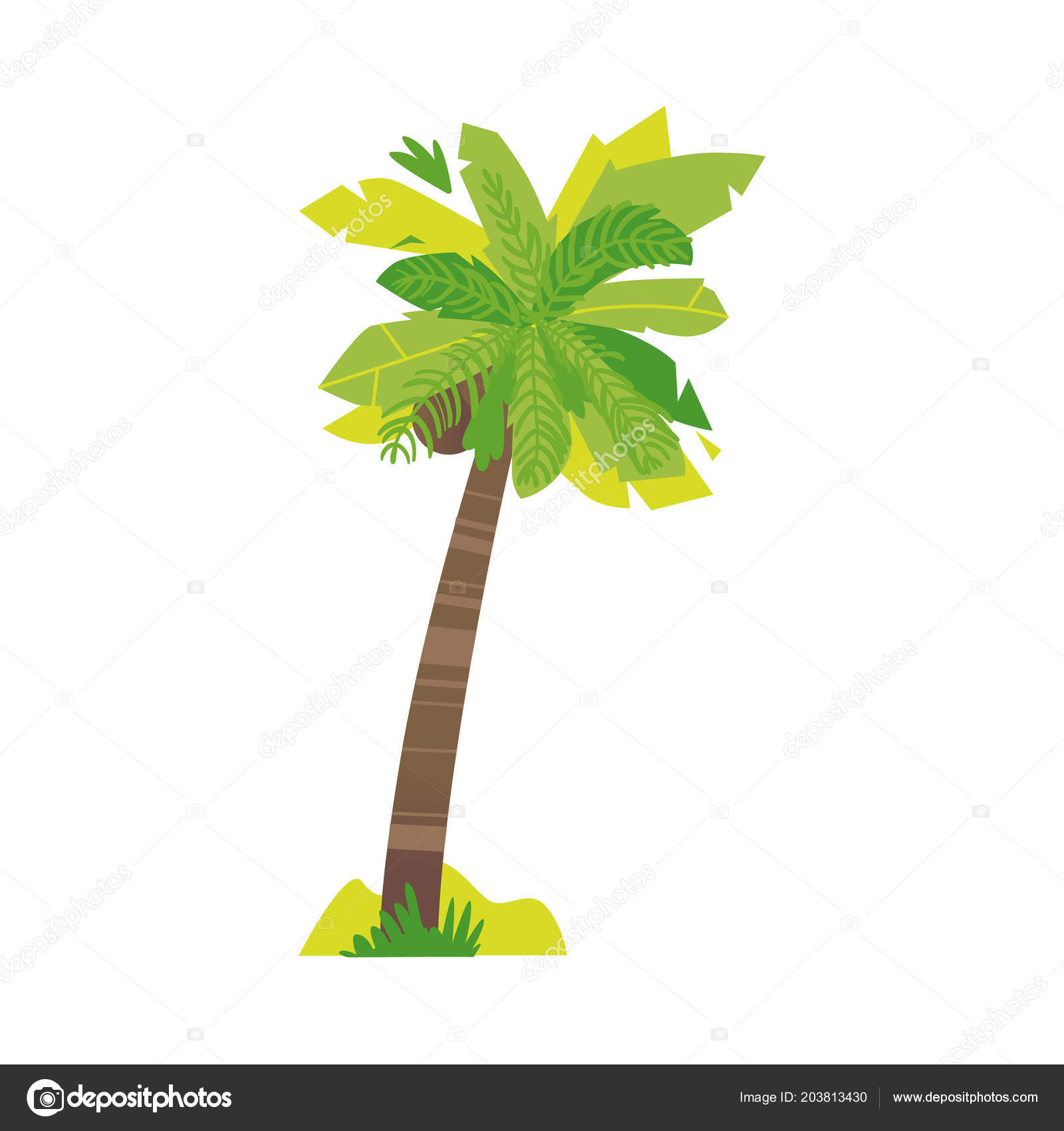 Estilo plano estilizado de dibujos animados cocotero palmera Vector de ...