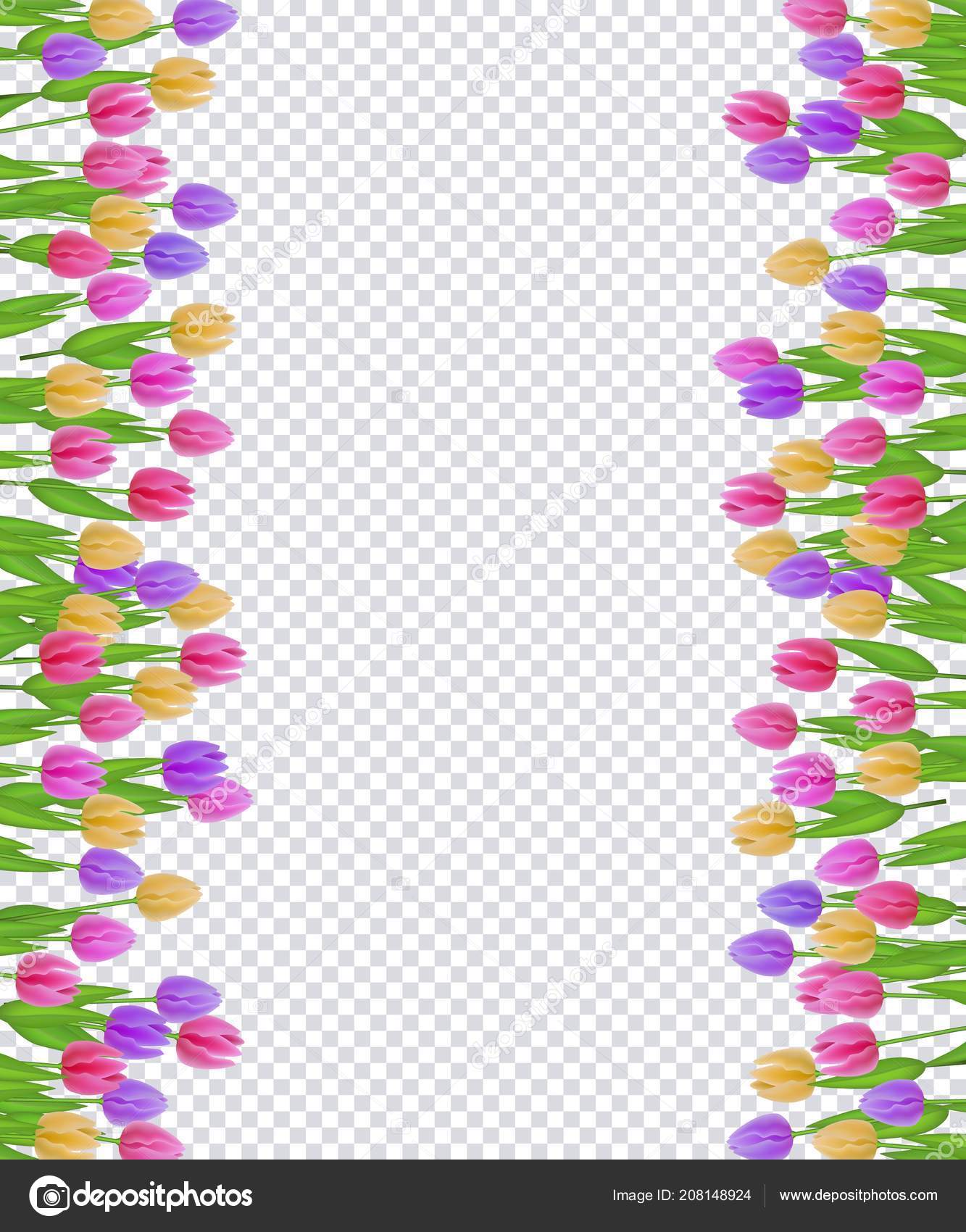 Spring border with colorful tulips with green leaves on transparent ...