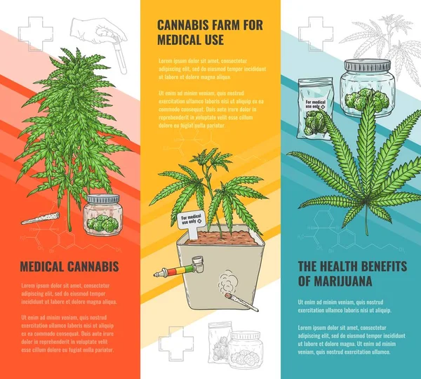 100,000 Marijuana infographics Vector Images | Depositphotos